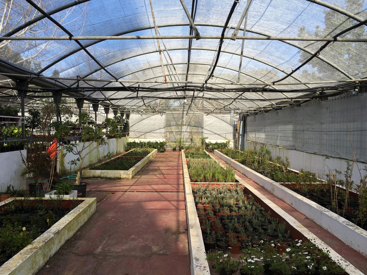 Vivero Municipal | GEN